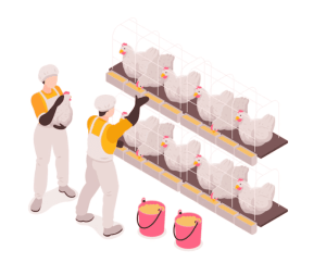 SOFTMIX (Feed Least Cost Formulation Software) | SOFTCODES ...